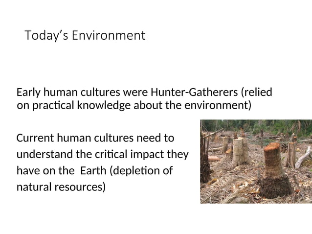 Lec 1(2) (1).ppt Environment introduction | PPT | Free Download