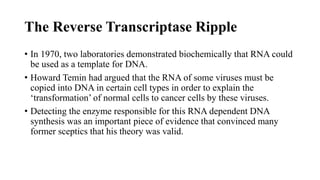 lec 12 Central dogma.pptx presentation power point | PPTX | Biological ...