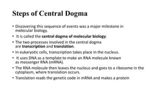 lec 12 Central dogma.pptx presentation power point | PPTX