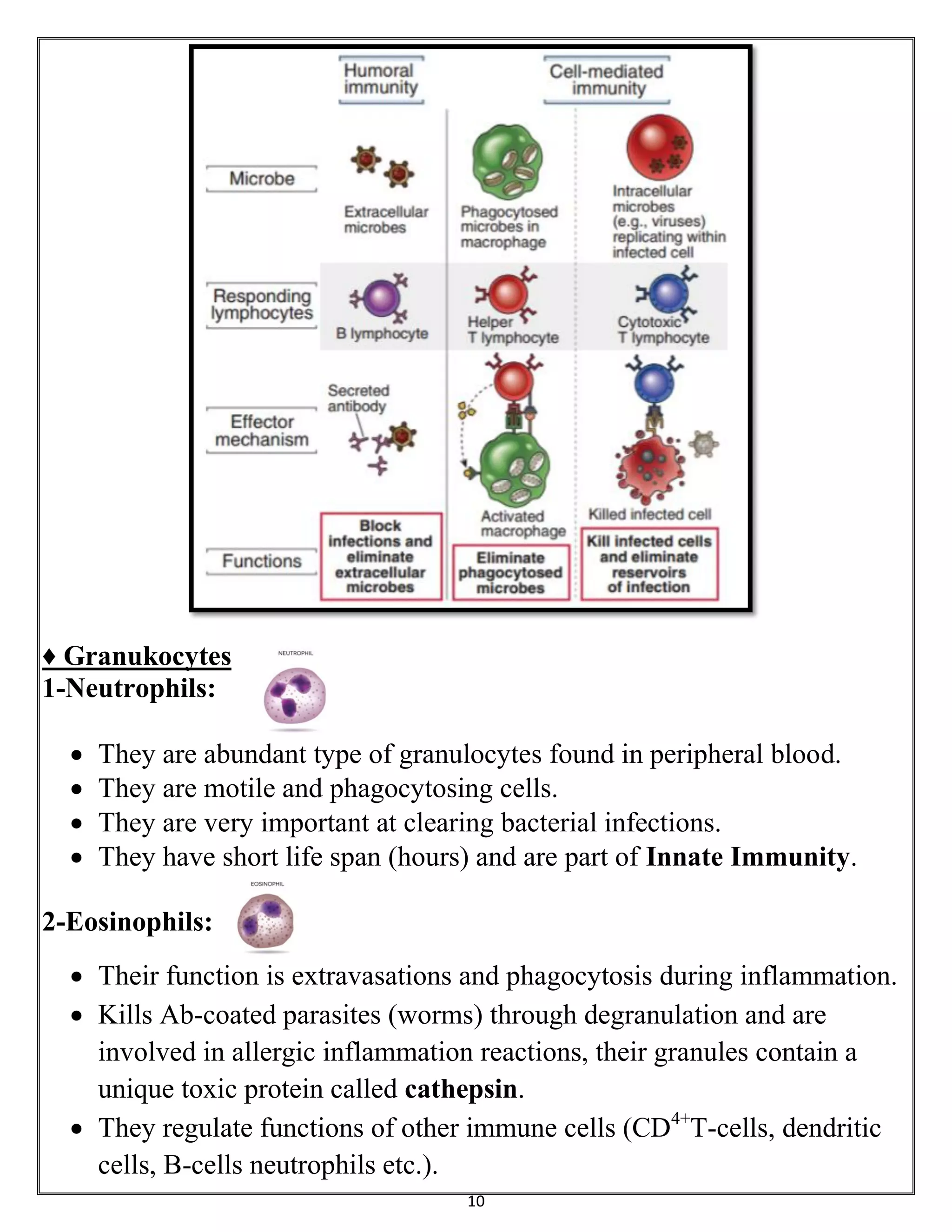 Immunology (Innate and adaptive immune systems) (ANTIGENS (Ag)) | PDF