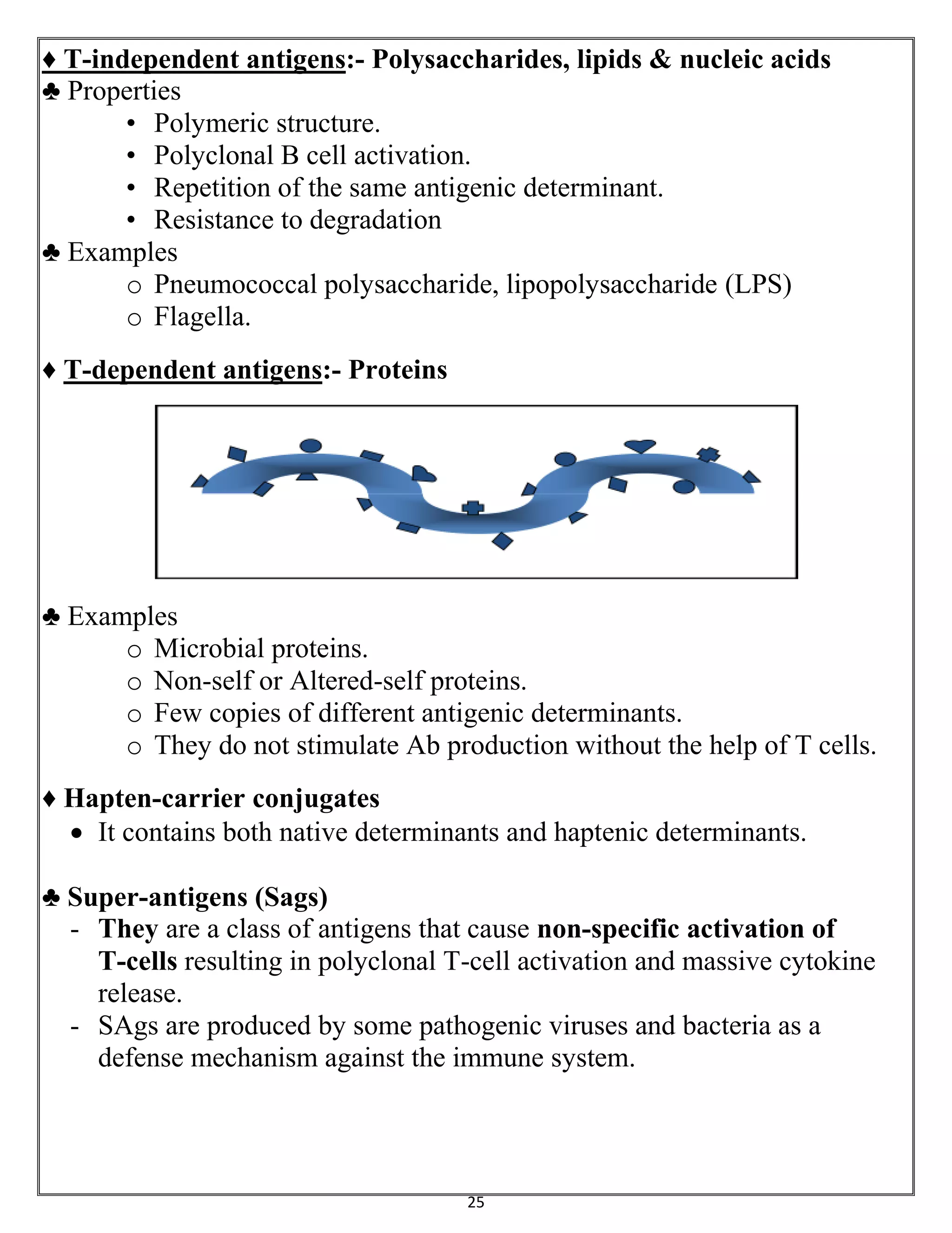 Immunology (Innate and adaptive immune systems) (ANTIGENS (Ag)) | PDF