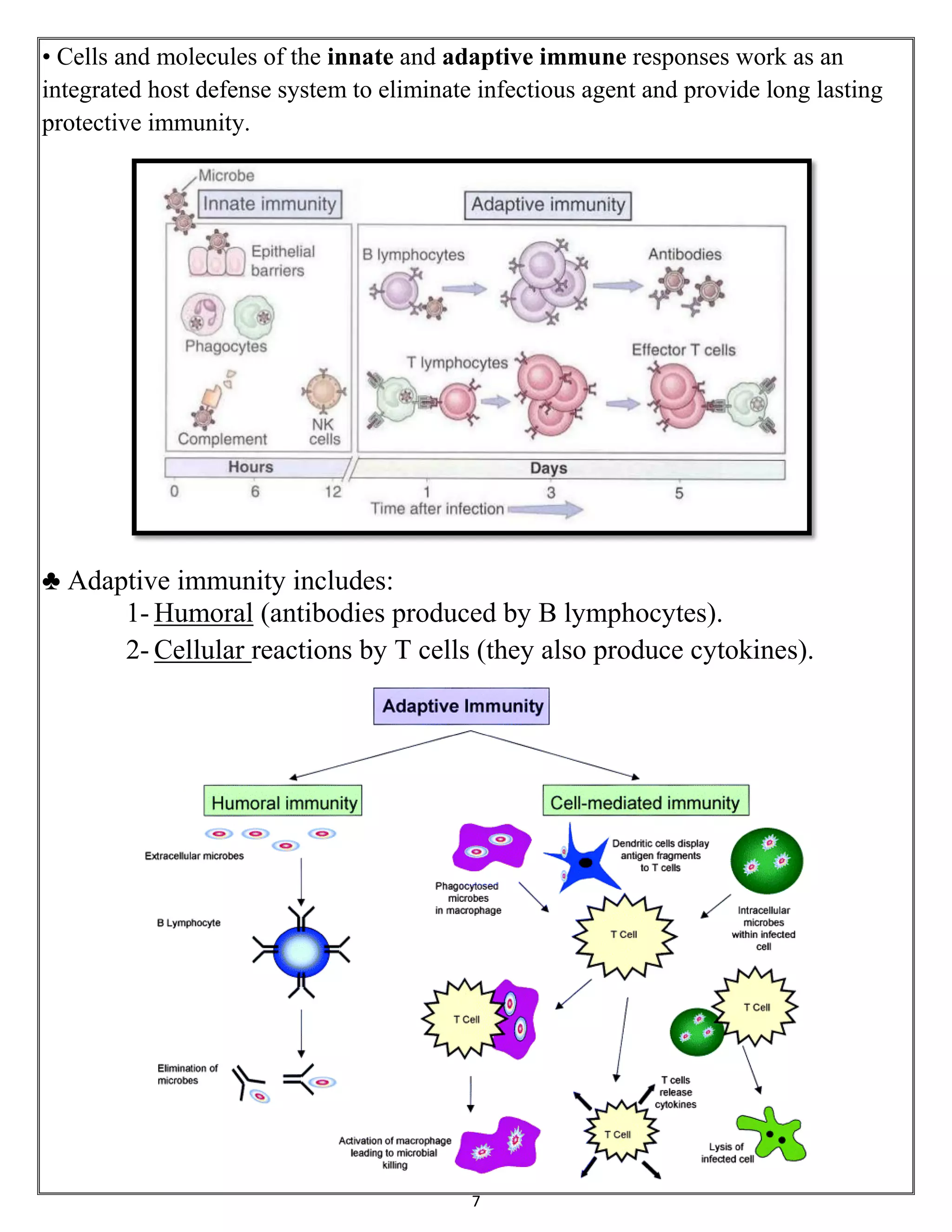 Immunology (Innate and adaptive immune systems) (ANTIGENS (Ag)) | PDF