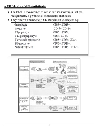 Immunology (Innate and adaptive immune systems) (ANTIGENS (Ag)) | PDF