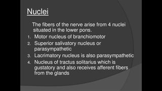 lec 12 Neuritis of facial nerve. Trigeminal neuralgia.Glossopharyngeal ...
