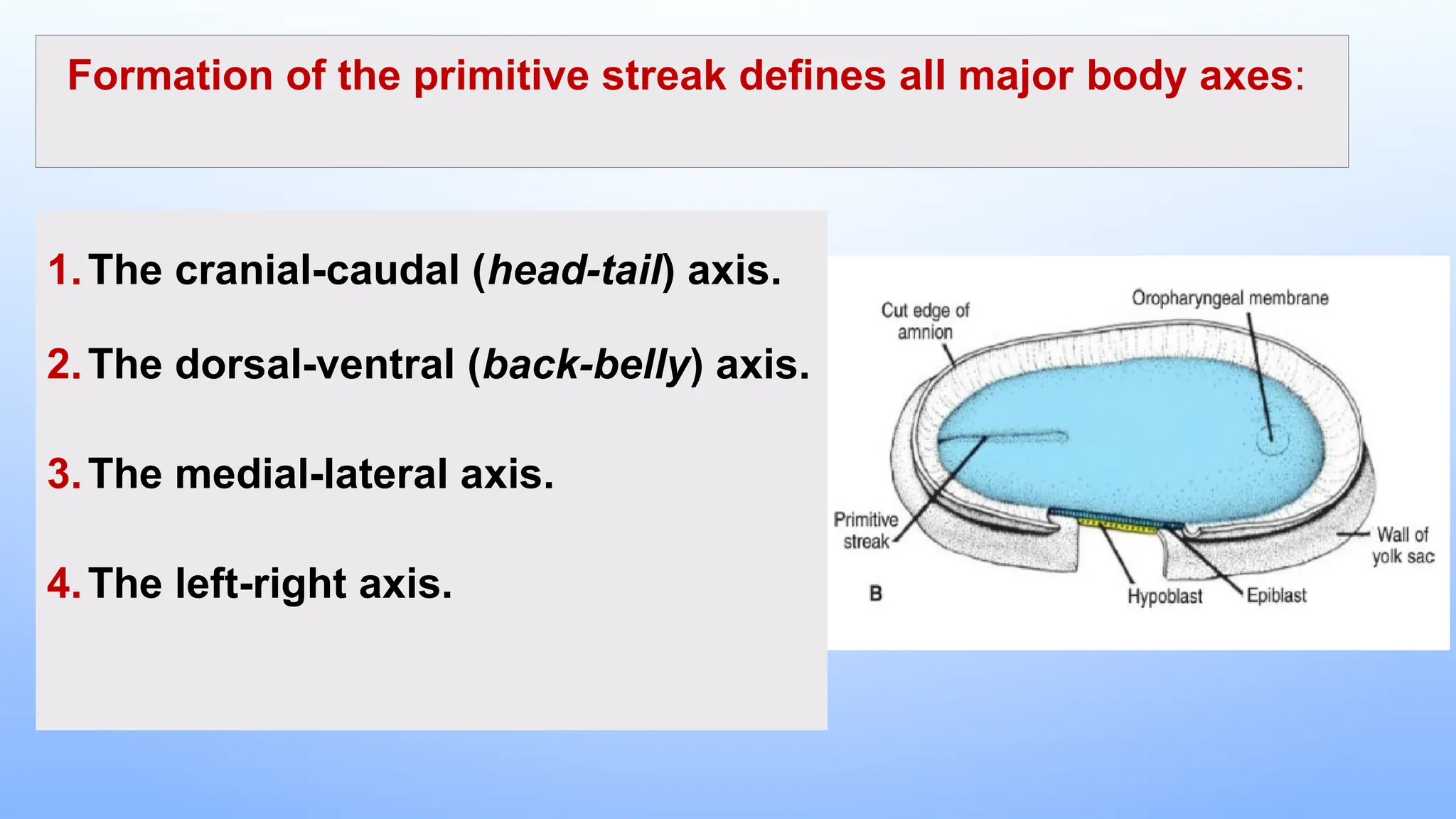 Embryogenesis first week ovulation, fertilization and implantation | PPTX