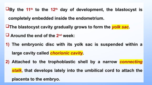 Embryogenesis first week ovulation, fertilization and implantation ...