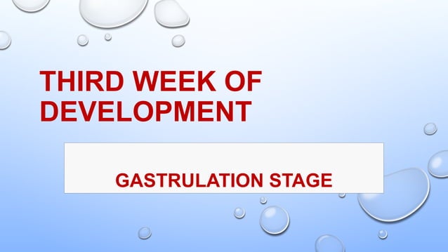 Embryogenesis first week ovulation, fertilization and implantation ...