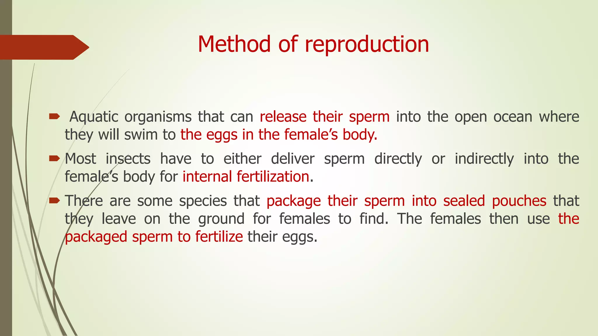 Insect Reproductive System | PPTX