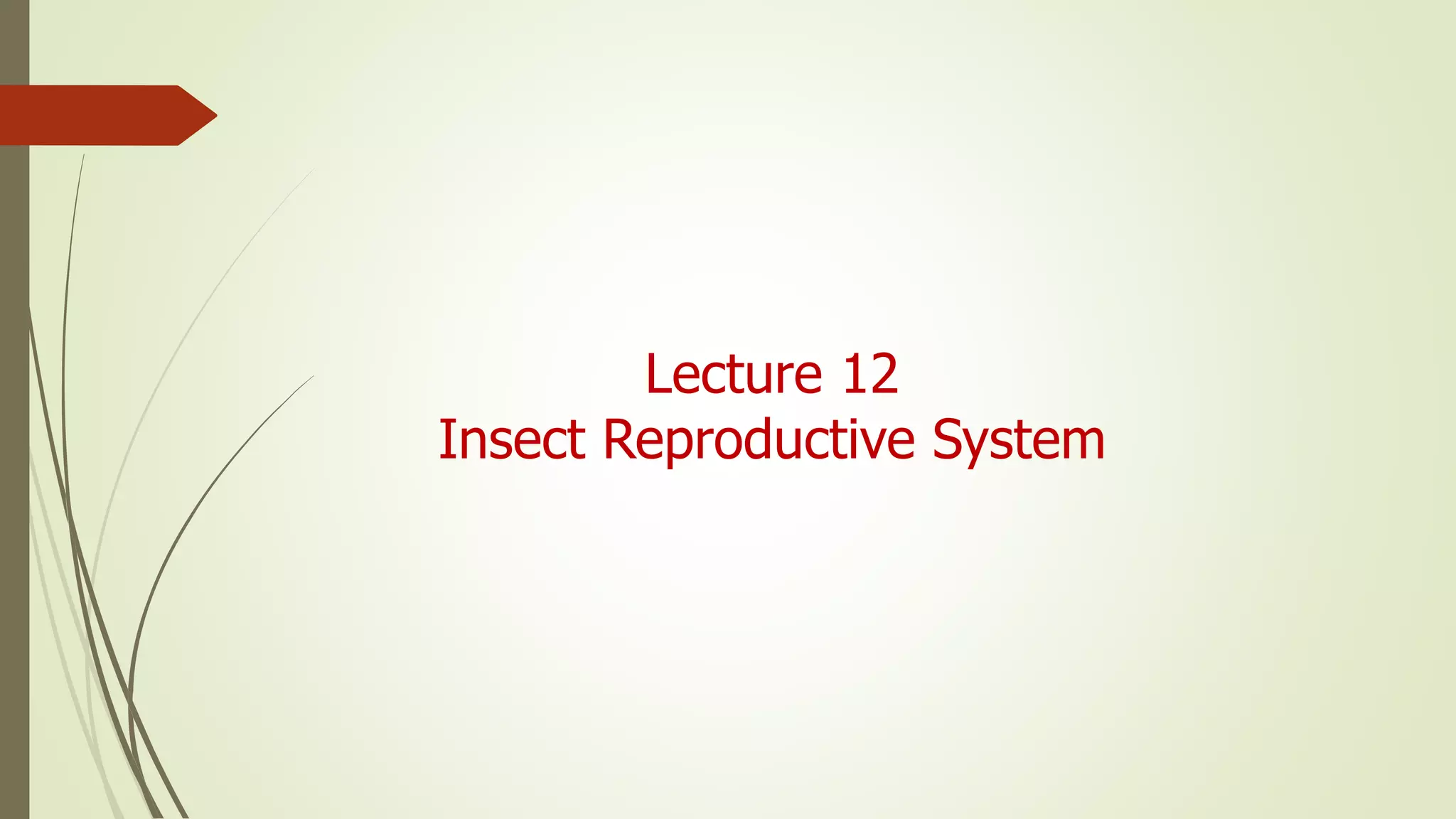 Insect Reproductive System | PPTX