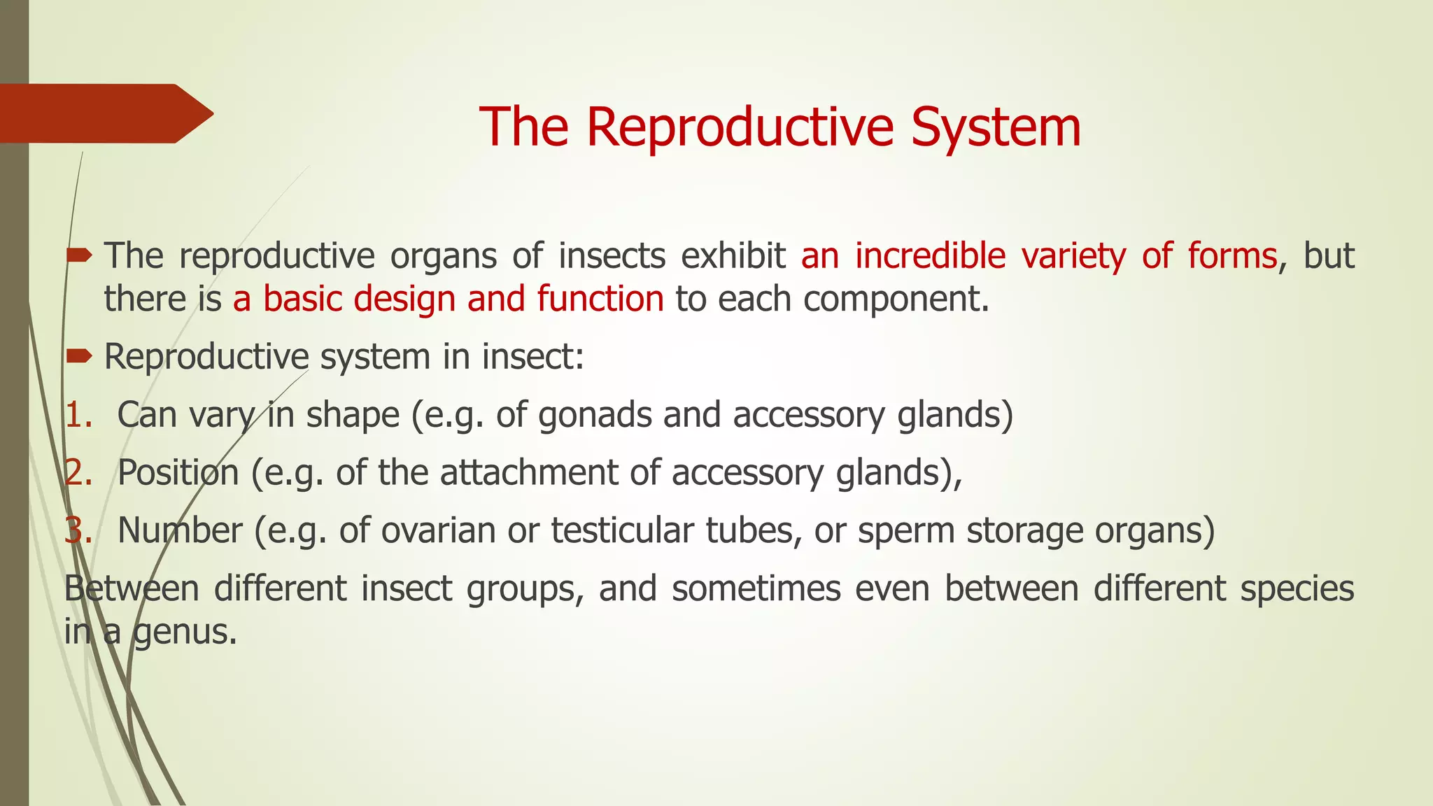 Insect Reproductive System | PPTX