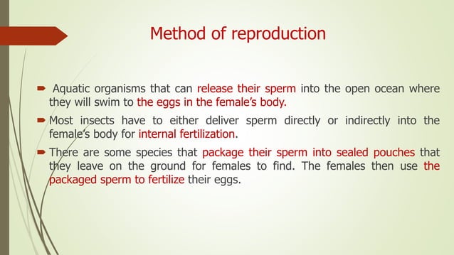 Insect Reproductive System | PPTX