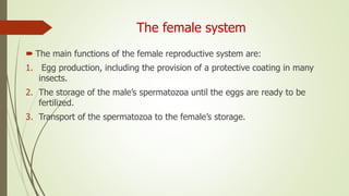 Insect Reproductive System | PPTX