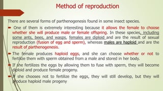 Insect Reproductive System | PPTX