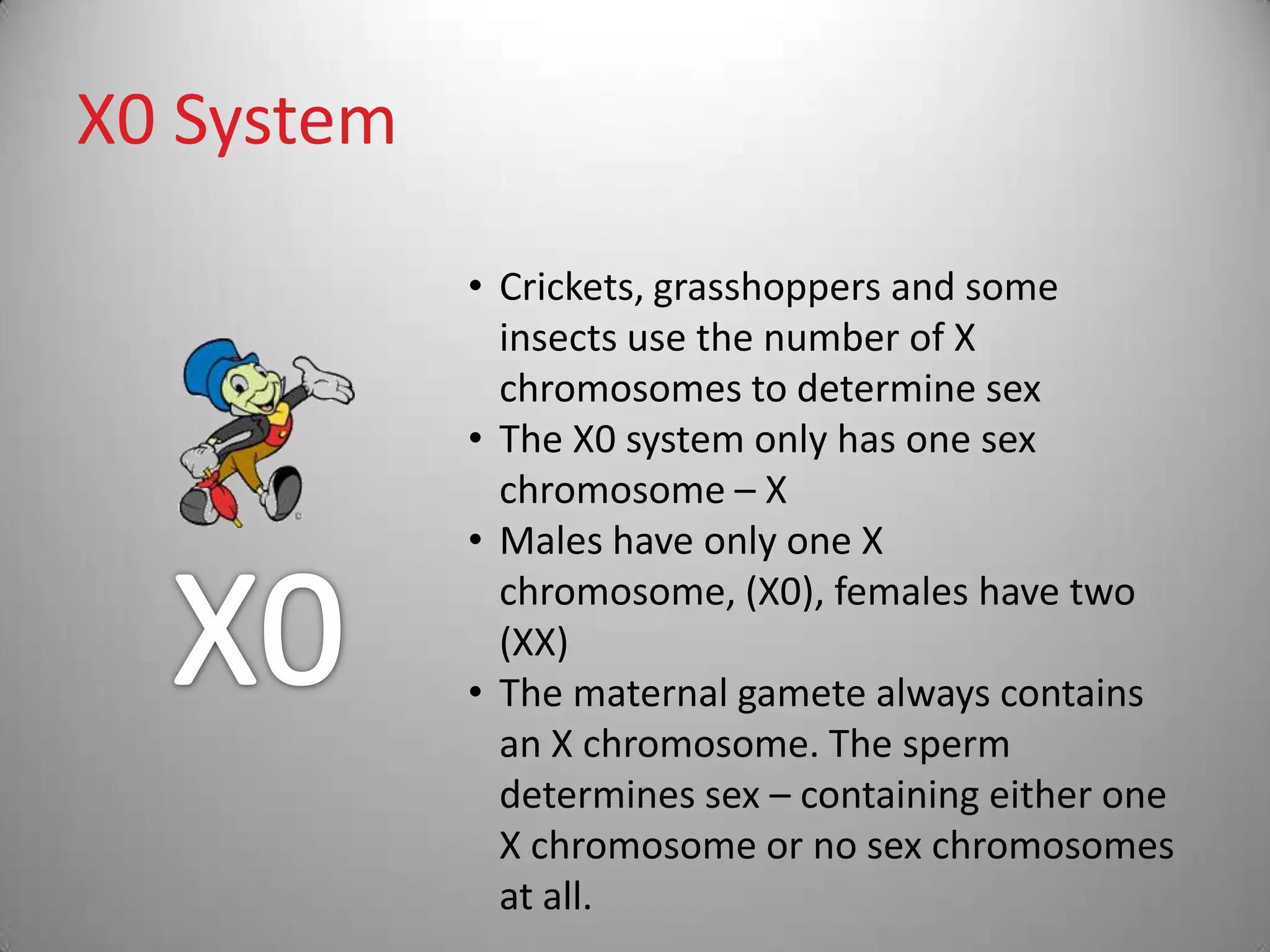 Lec12 Sex Determination | PPTX