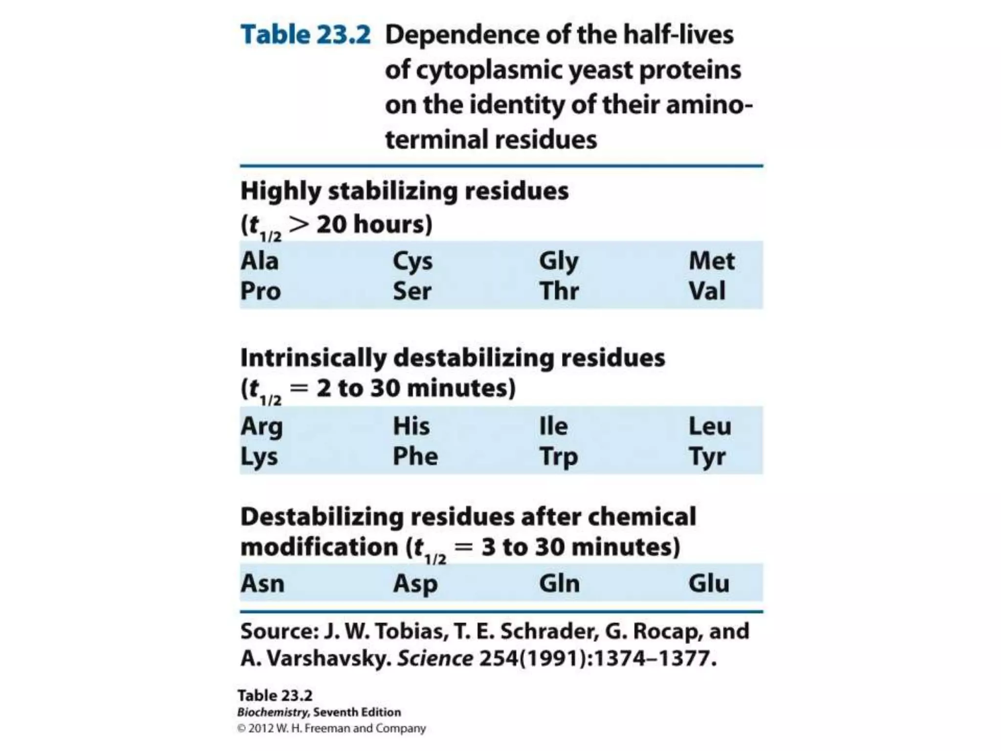 Lec12 ureacyc | PPTX
