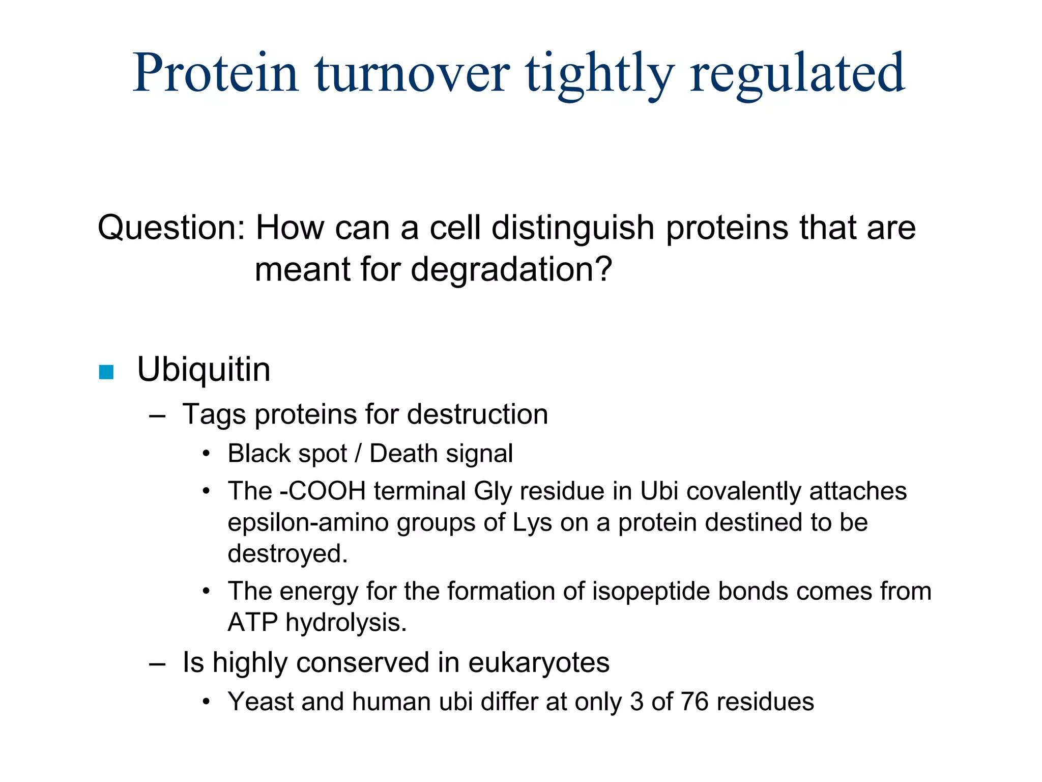 Lec12 ureacyc | PPTX