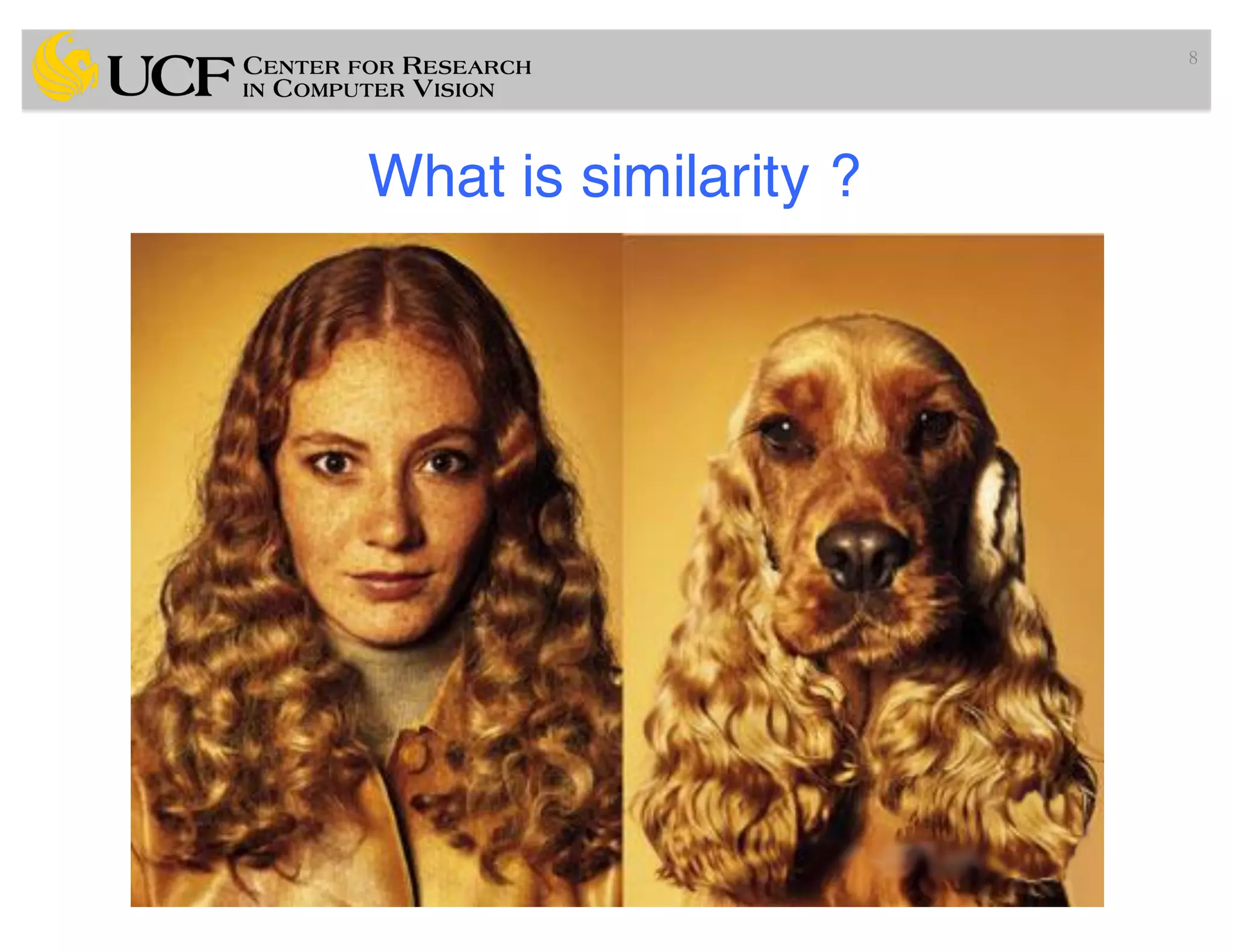 Lec13: Clustering Based Medical Image Segmentation Methods | PDF