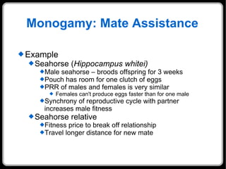 Lec13 Mating Systems | ODP