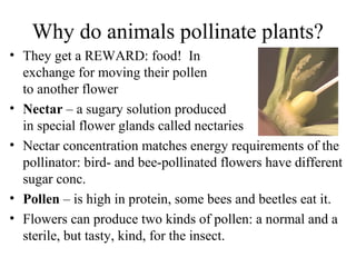 Pollination '' Reproduction in Plants" | PPT
