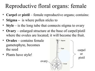 Pollination '' Reproduction in Plants" | PPT
