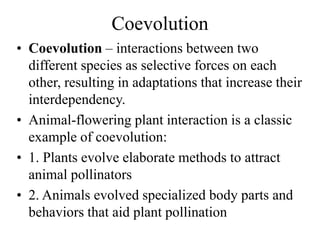 Lec13_Pollination.ppt