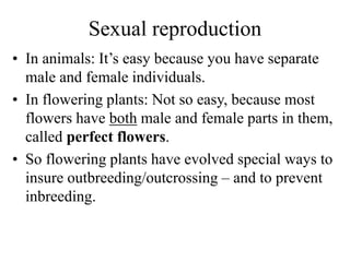Lec13_Pollination.ppt