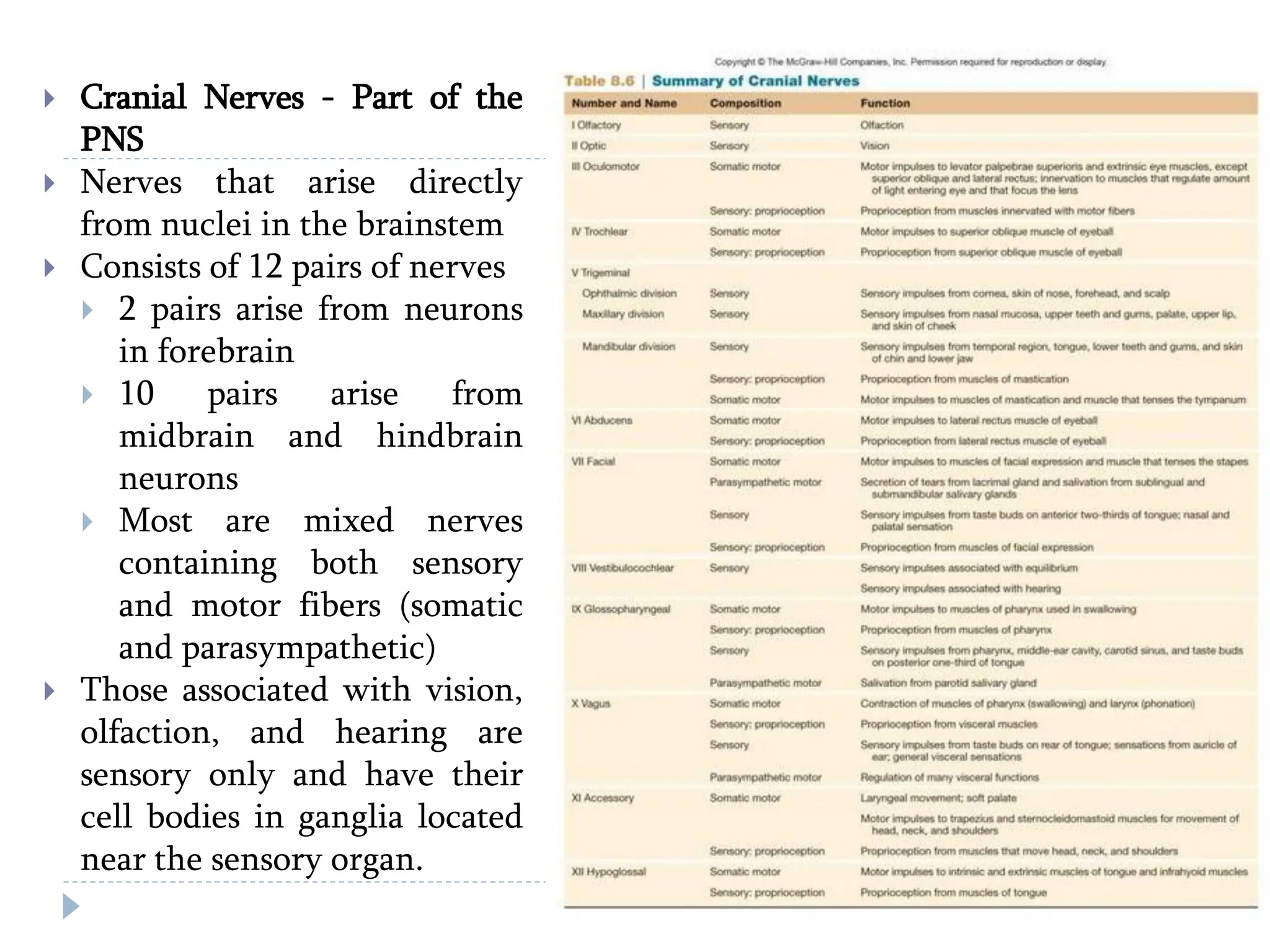 Spinal cord - cns ppt, general physiology, | PPT