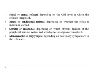 Spinal cord - cns ppt, general physiology, | PPT