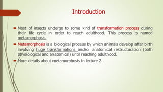 typeoflarvaeandpupaininsect-.pdf