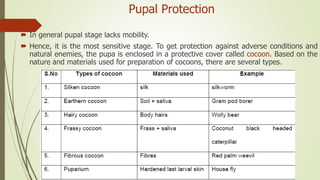 Type of larvae and pupa in insect | PPTX