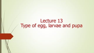 Type of larvae and pupa in insect | PPTX