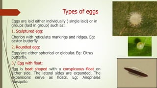 Type of larvae and pupa in insect | PPTX