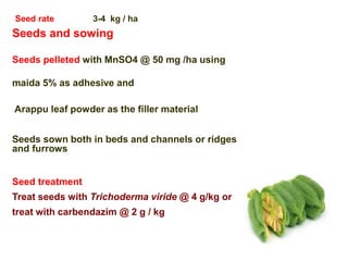 Lec 14.SST 201 Sesame seed production.pptx