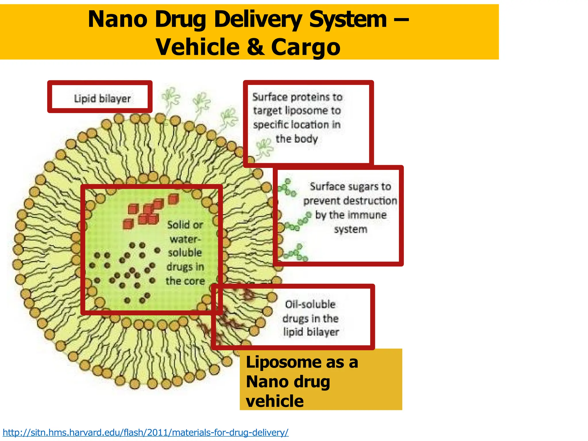 nanomedicine and nanotechnology in drug delivery | PPTX