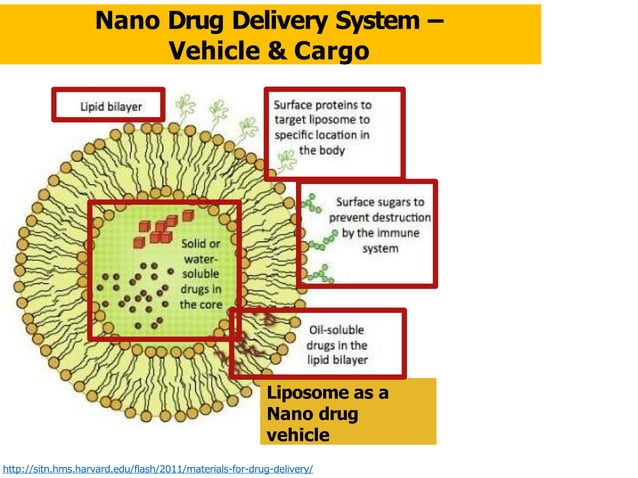 nanomedicine and nanotechnology in drug delivery | PPT