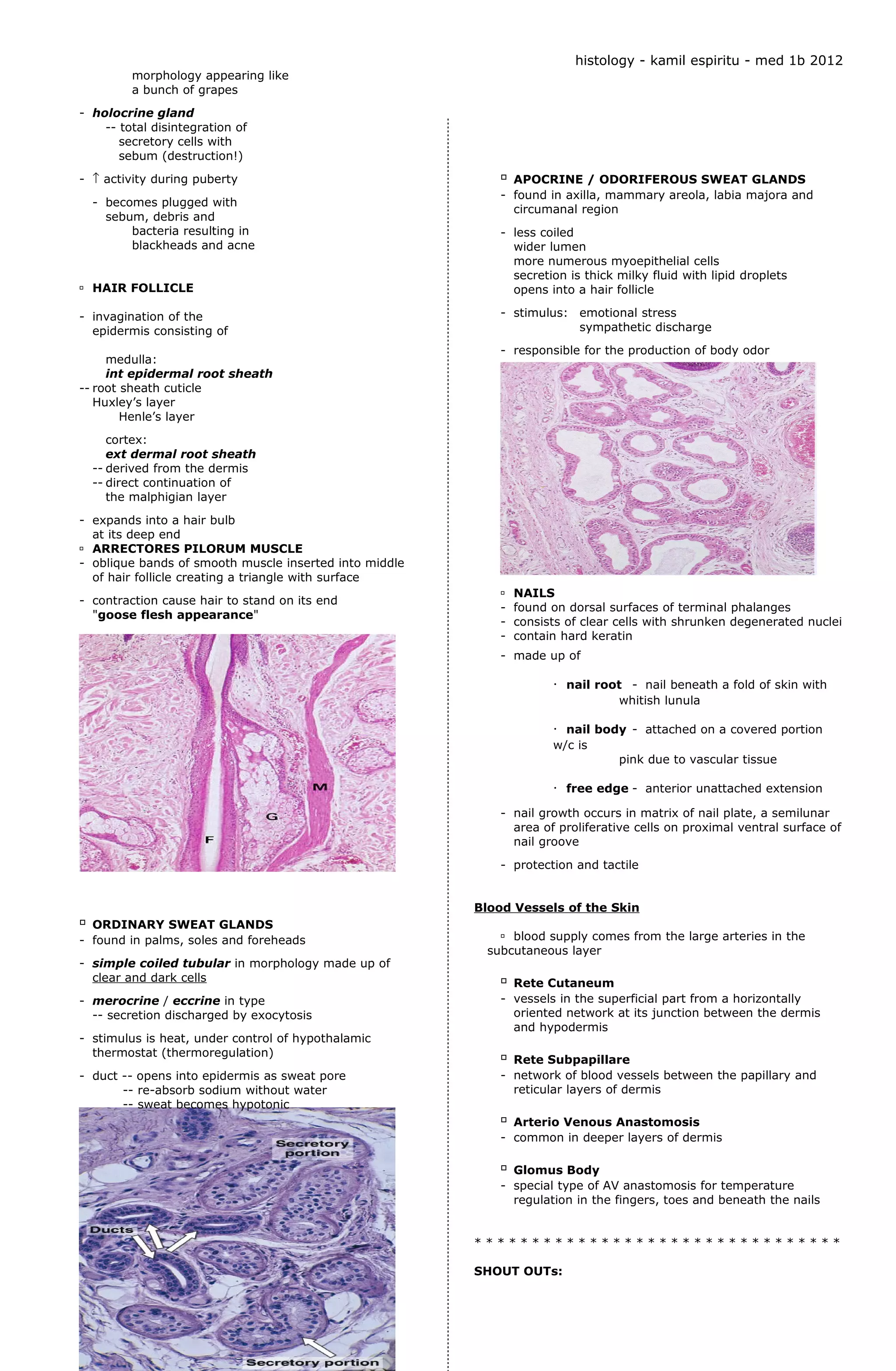 Lec14 Integumentary System | PDF