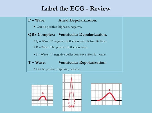 Lec 14 basic ecg interpretation for mohs | PPT