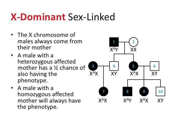 Lec14 Pedigree Analysis Exercise