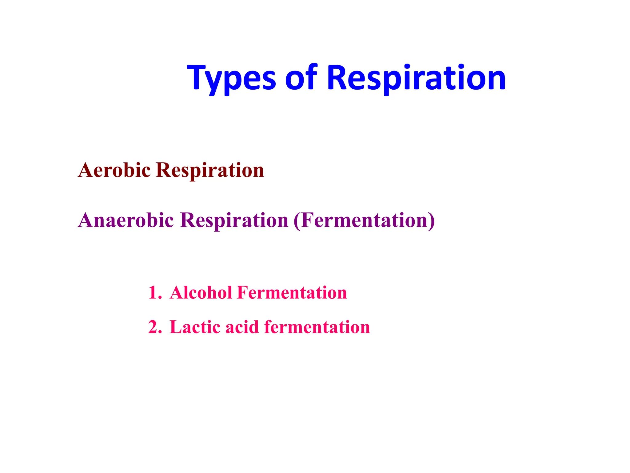 Electron transport chain terminal oxidation oxidation phosphorylation | PPT