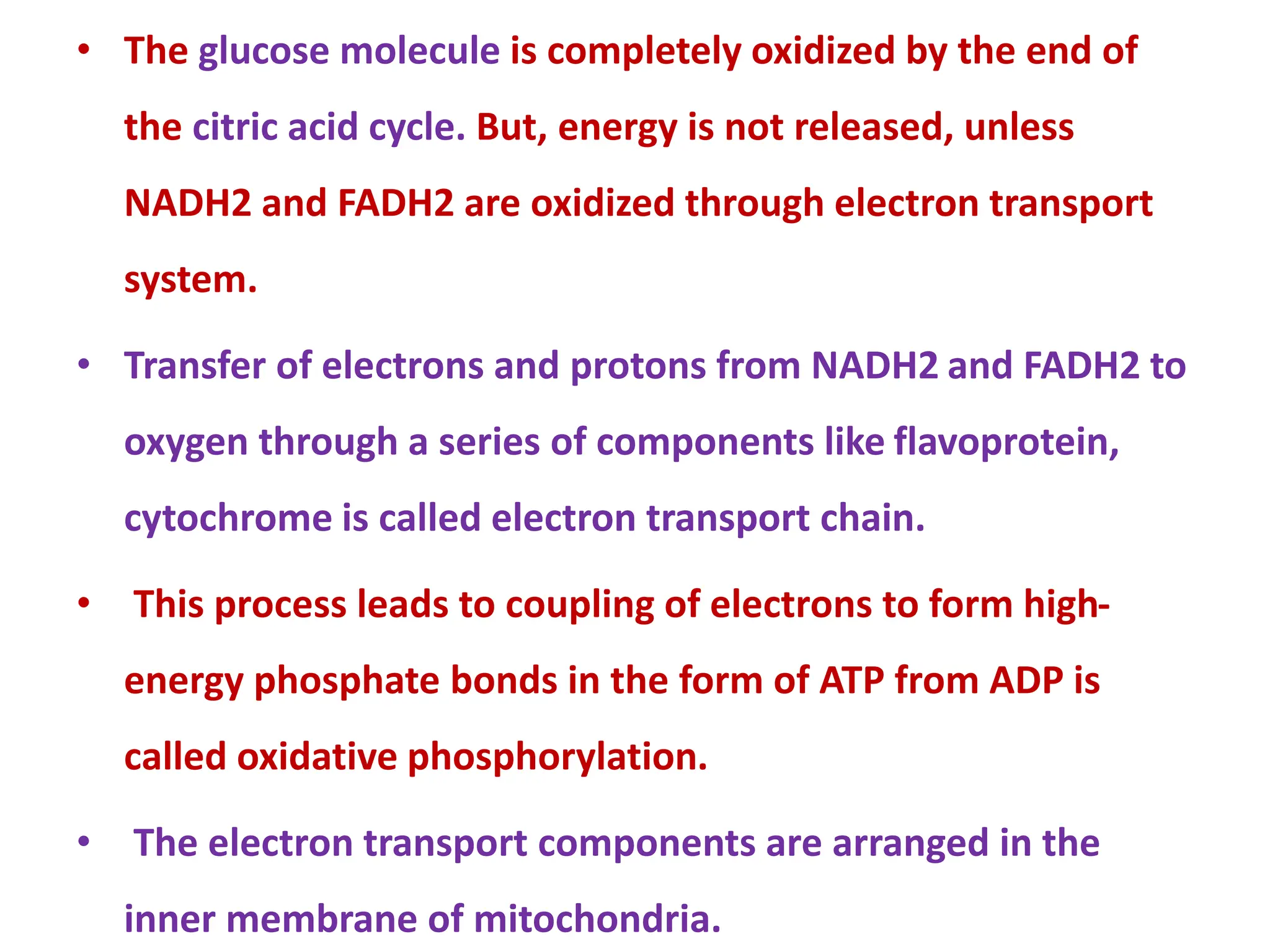 Electron transport chain terminal oxidation oxidation phosphorylation | PPT
