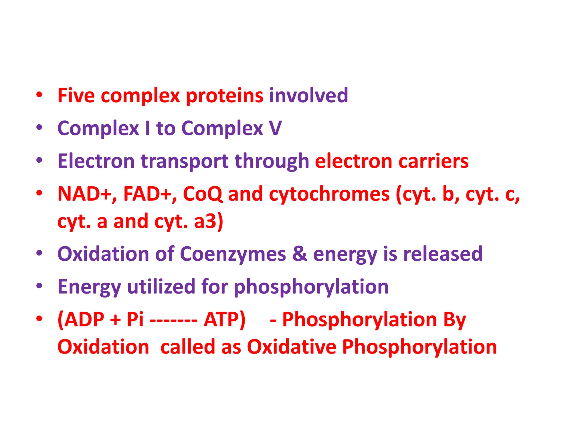 Electron transport chain terminal oxidation oxidation phosphorylation | PPT
