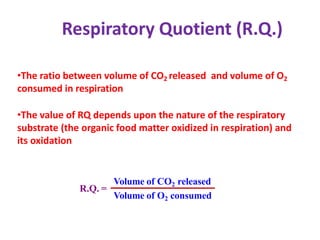 Electron transport chain terminal oxidation oxidation phosphorylation ...