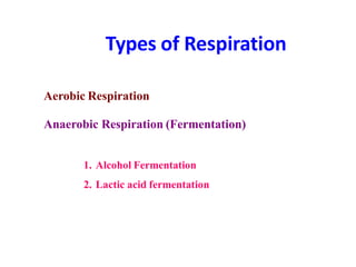 Electron transport chain terminal oxidation oxidation phosphorylation ...