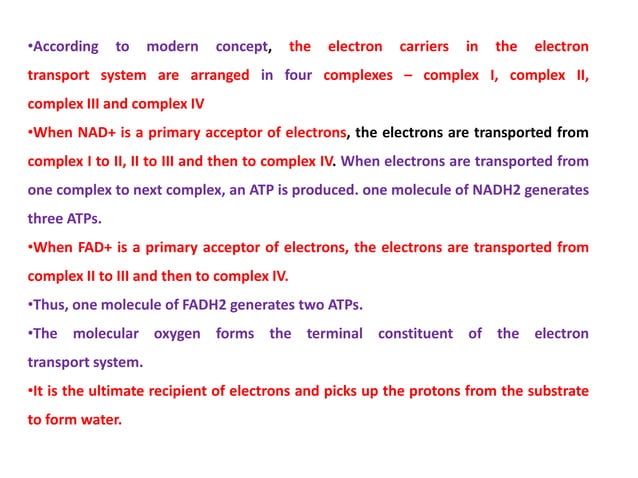 Electron transport chain terminal oxidation oxidation phosphorylation | PPT