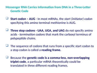 Lec 15.Translation and protein synthesis.pptx