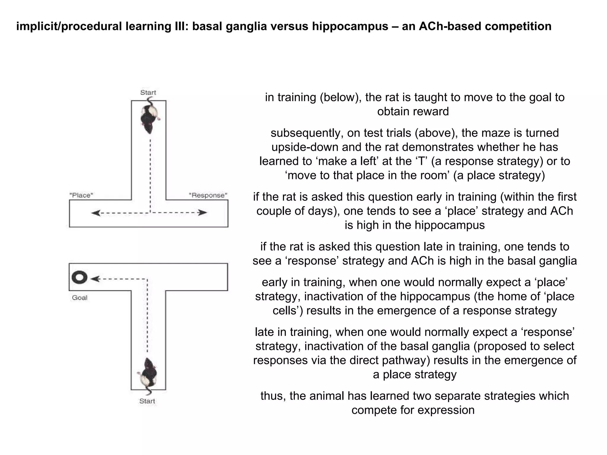 COGS 107B - Winter 2010 - Lecture 15 - Memory | PPT