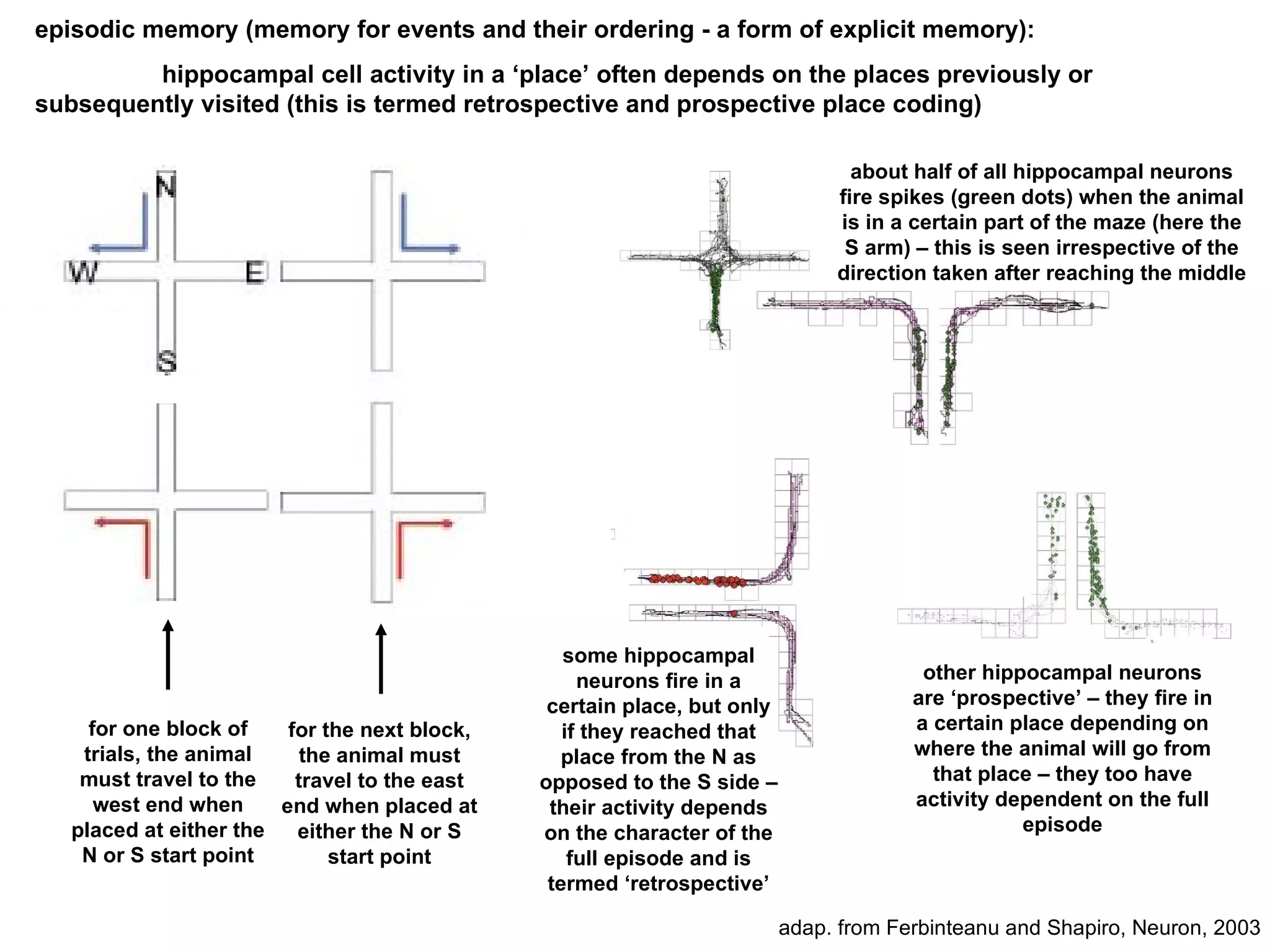 COGS 107B - Winter 2010 - Lecture 15 - Memory | PPT