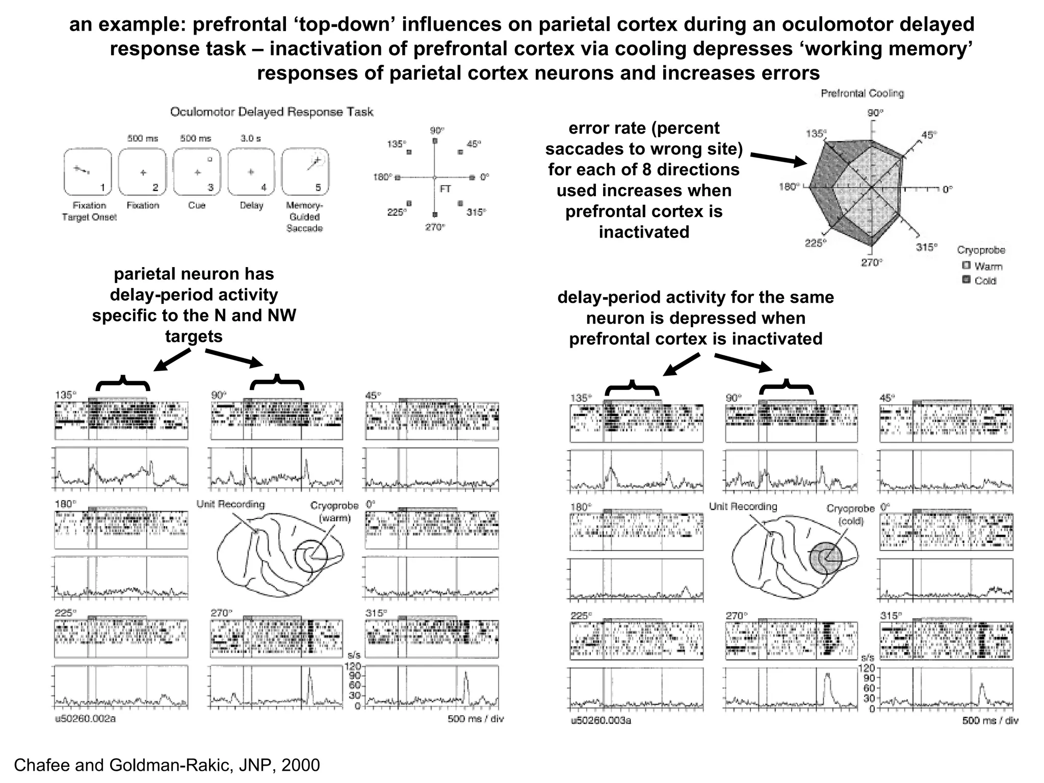 COGS 107B - Winter 2010 - Lecture 15 - Memory | PPT