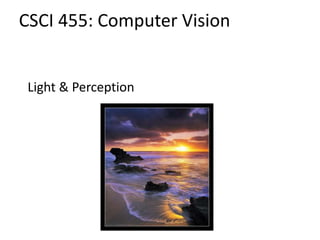 Computer vision - light | PPTX