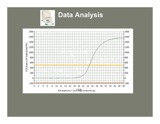 Lec16 Realtime PCR | PDF